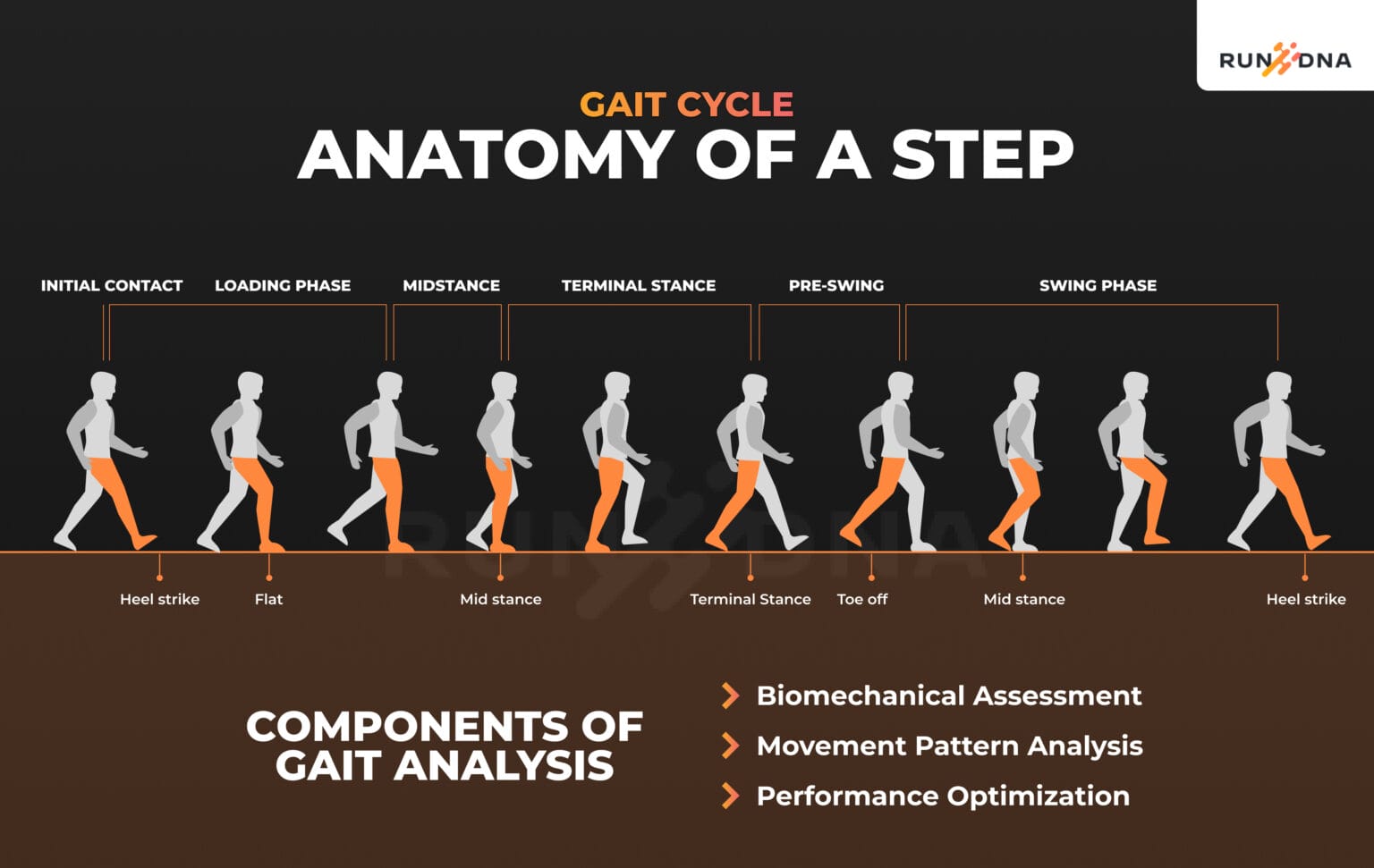 What Is a Gait Analysis?: The Science Behind Your Step - RunDNA