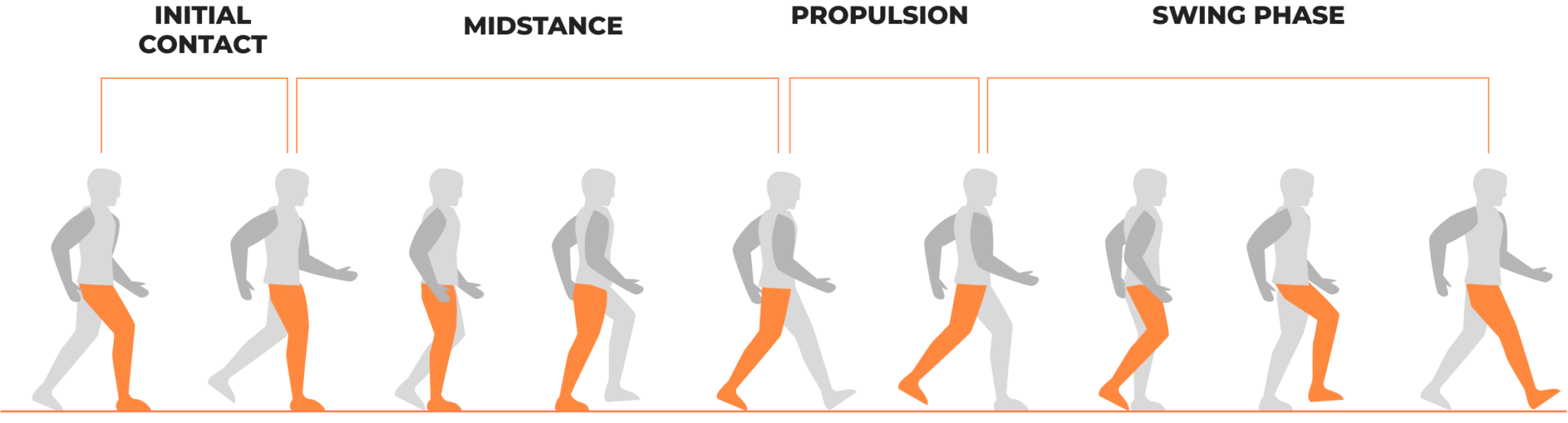 Difference Between Running vs Walking Gait Cycles