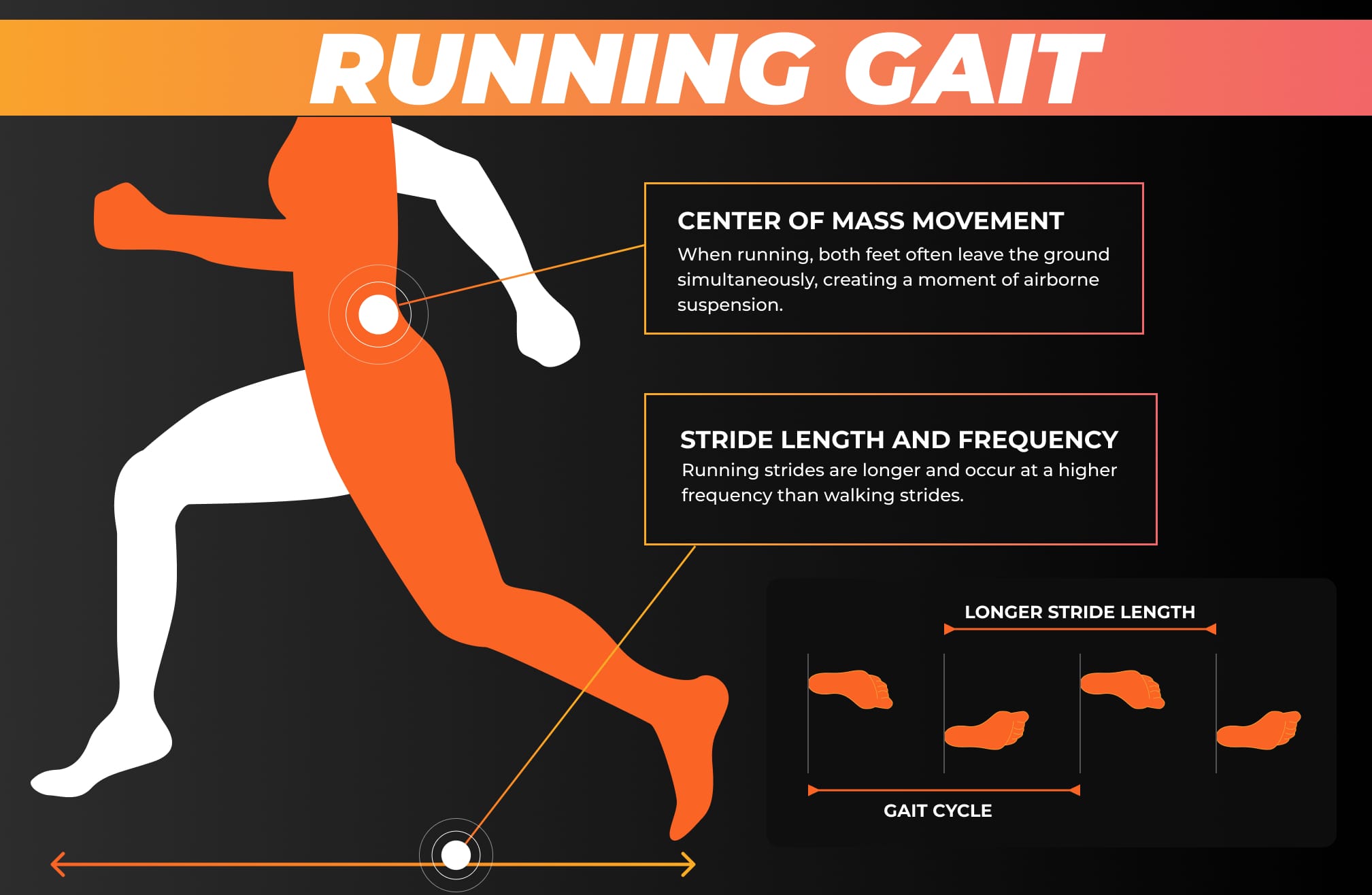 Difference Between Running vs Walking Gait Cycles