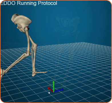 Walking Gait Analysis: The What, How, and Why - RunDNA
